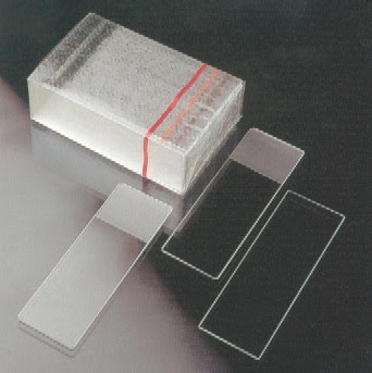 LABORATORIO CLINICO: Porta y cubre objetos